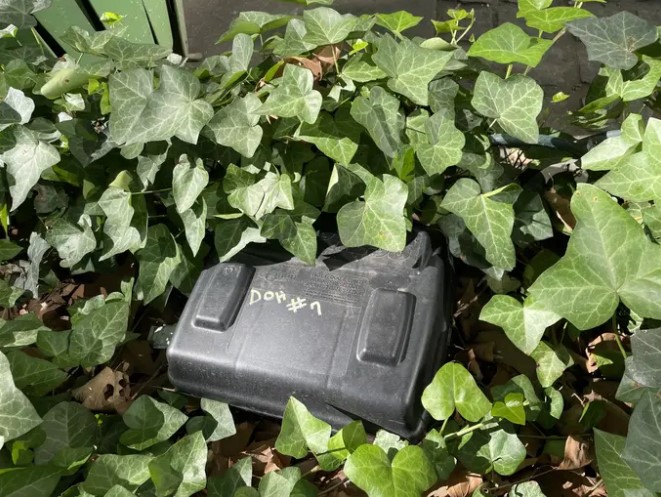 NYC tried sterilizing the rats.... - Alco Pest Control